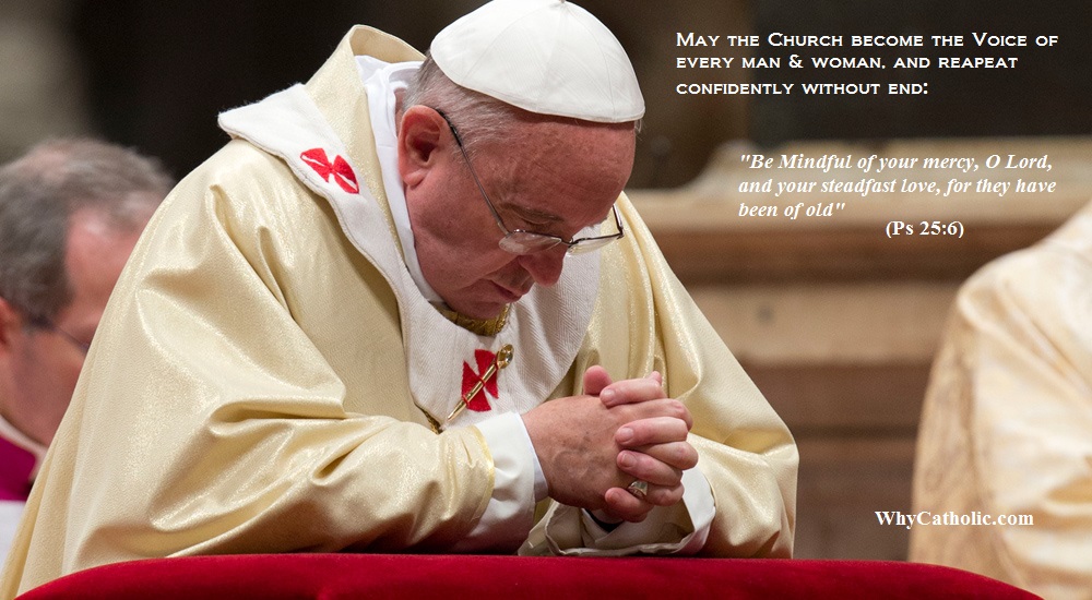 Jublilee Holy Year of Mercy | Why Catholic